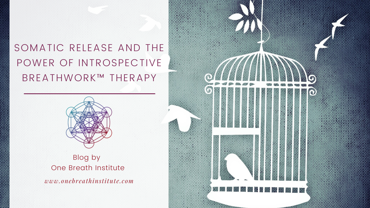 Somatic Release and the Power of Introspective Breathwork™ Therapy
